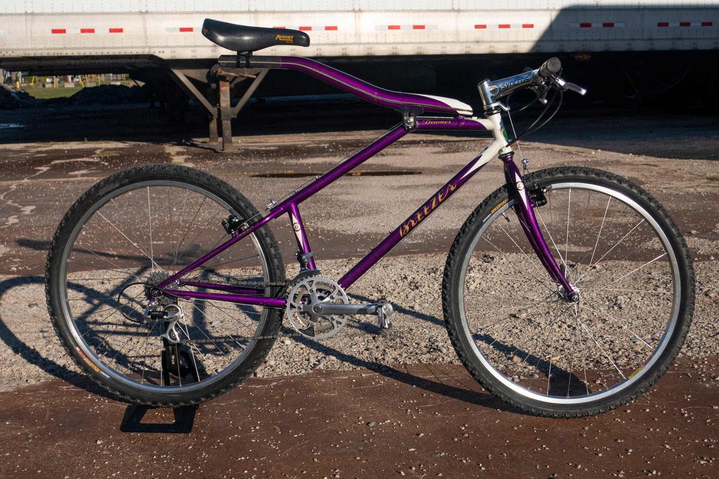 BREEZER BEAMER – Gremlins Bicycle Emporium