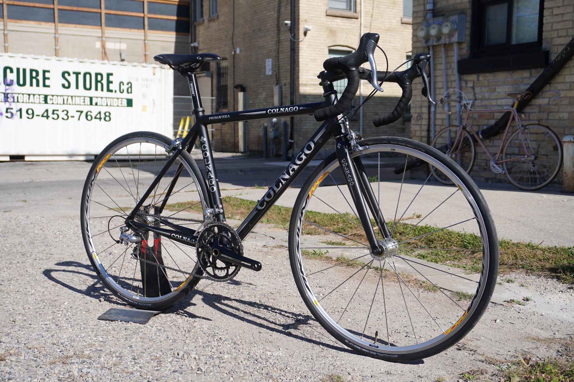 Colnago Prima Vera – Gremlins Bicycle Emporium